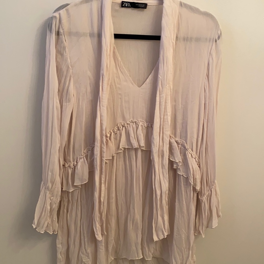 Zara Sheer Top Stunning! - Gem